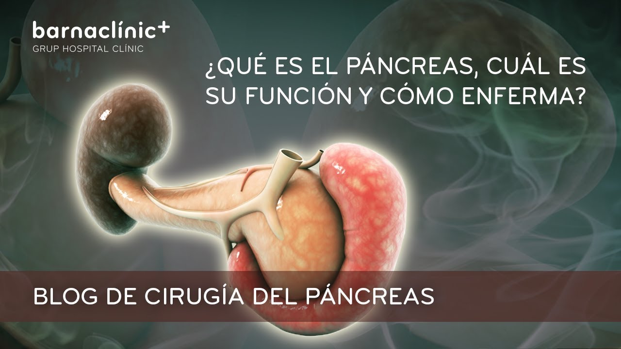 El-páncreas-¿Qué-es-qué-función-tiene-y-cómo-enferma - Blog de Cirugía del Páncreas Blog de ...